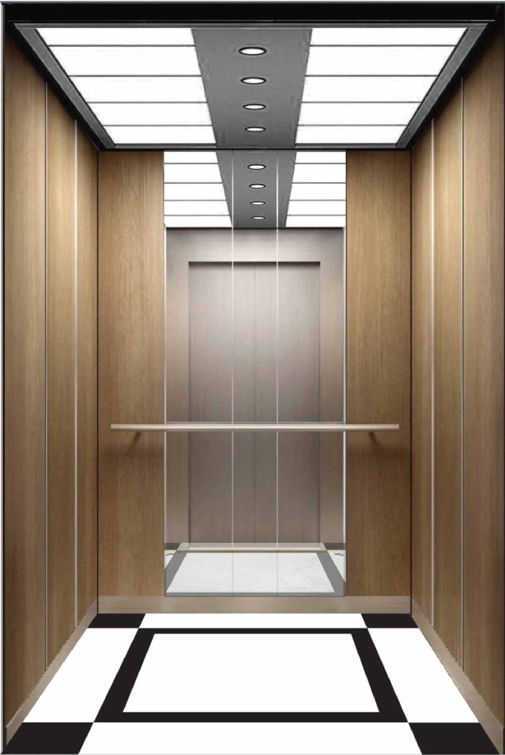Oversea Projects - Fujijapanelevator